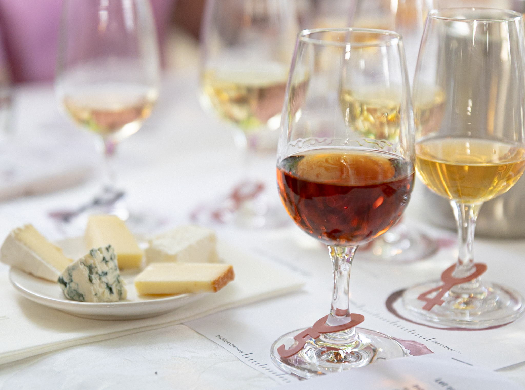 Wine Tasting Packages - Wine Beyond the Glass